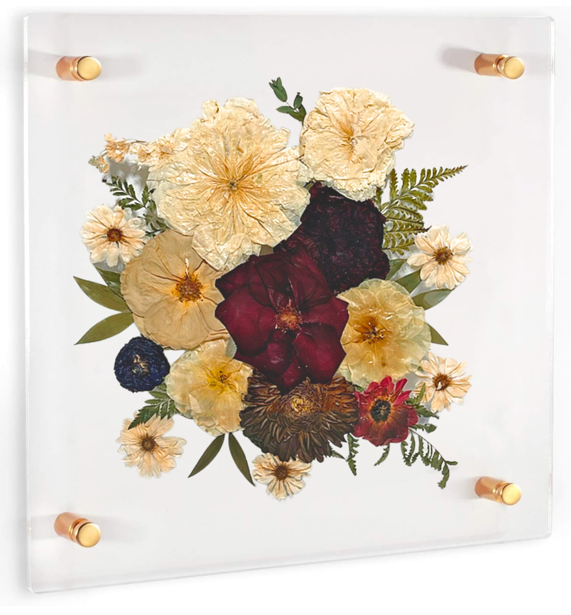 Acrylic Floating Pressed Frames